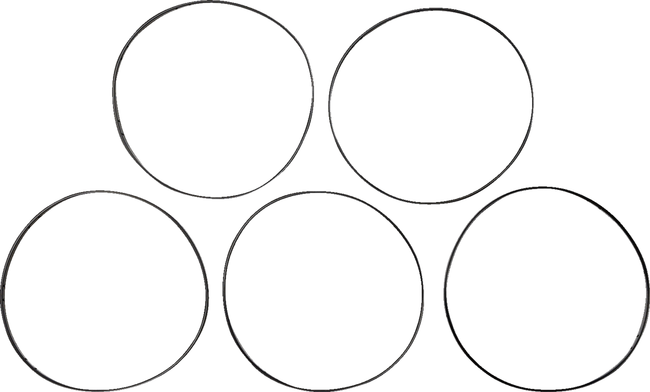 Cometic® Derby Seal Cover C10306F5 - RickRak